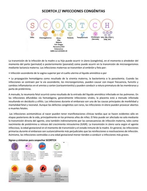 Complejo TORCH | Enfermería | uDocz