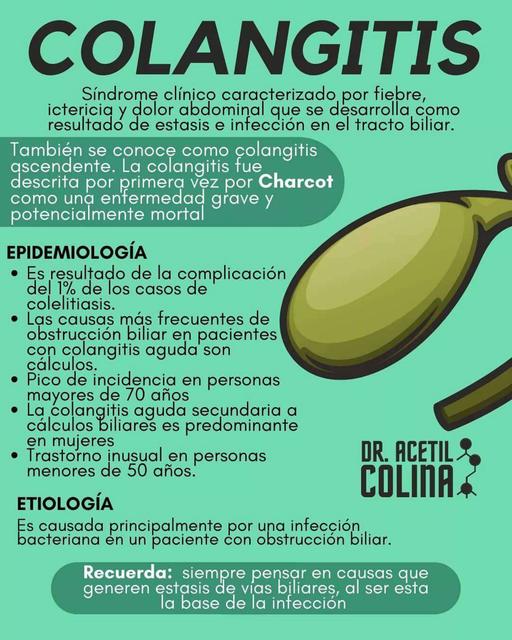 Colangitis | YUDOC.ORG | uDocz