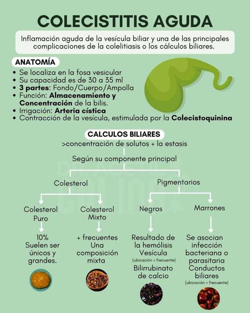 Colecistitis Aguda | YUDOC.ORG | uDocz Colecistitis Aguda | YUDOC.ORG | uDocz