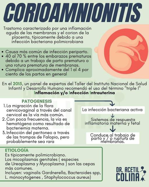 Corioamnionitis | YUDOC.ORG | uDocz