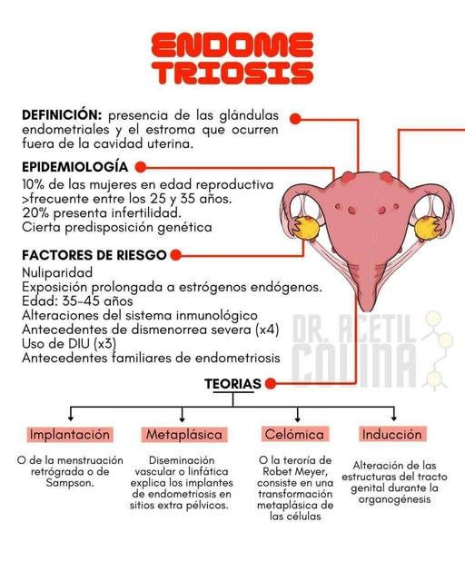 Endometriosis | YUDOC.ORG | uDocz