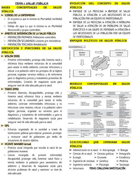 BASES DE SALUD PÚBLICA | MED STUDENT SUPPLIES | uDocz