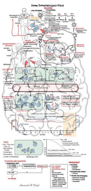 HIV | YUDOC.ORG | uDocz