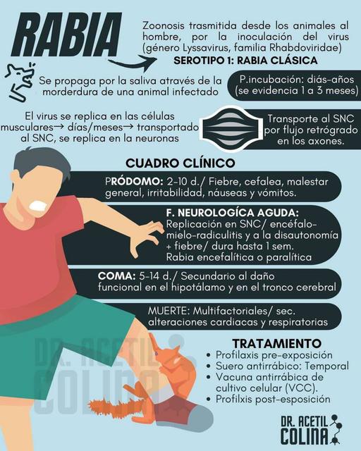 Rabia | YUDOC.ORG | uDocz