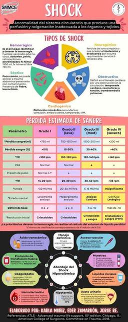 Shock | YUDOC.ORG | uDocz