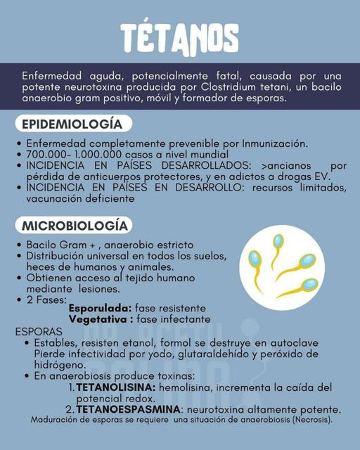 Resúmenes de tétanos cefálico | Descarga apuntes de tétanos cefálico