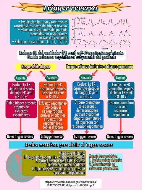 Trigger Reverso | YUDOC.ORG | uDocz