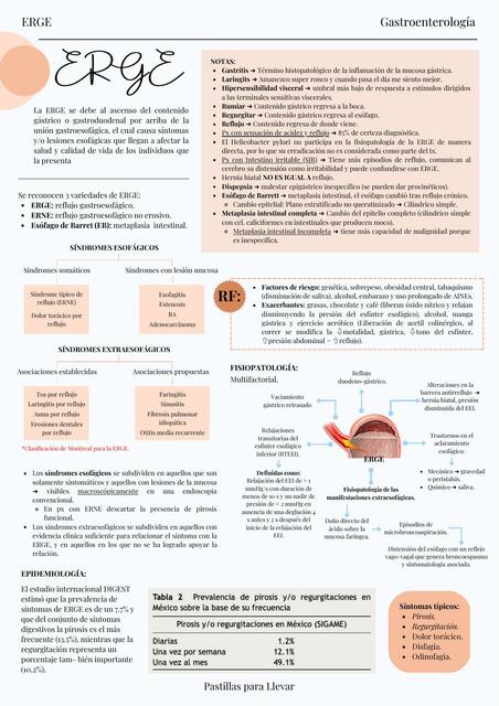 Erge | Pastillas para Llevar | uDocz