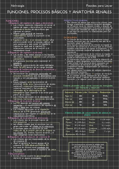 Función Renal y Procesos Básicos | Pastillas para Llevar | uDocz