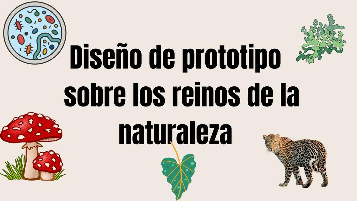 Diseño de Prototipo sobre los Reinos de la Naturaleza | roberto llanos ...