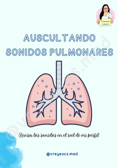 Resumen Sonidos Pulmonares y Síndromes Pulmonares | Valeria Sofia Reyes ...
