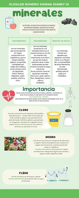 Infografía sobre minerales nutrición | Ximena Romero | uDocz