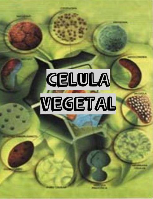 Célula Vegetal | Agronomia | uDocz