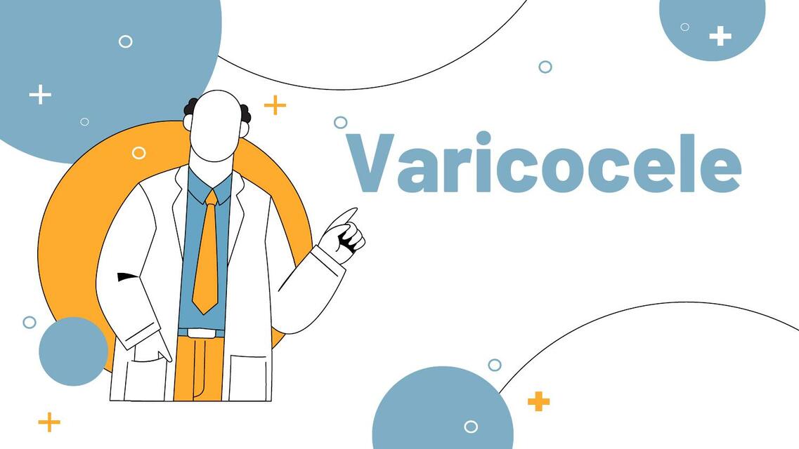 Varicocele | META | uDocz