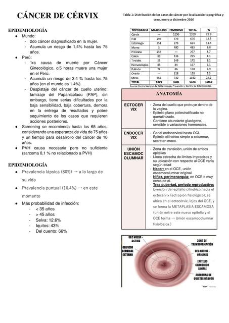 Cáncer De Cérvix | LaPepaMédica | uDocz
