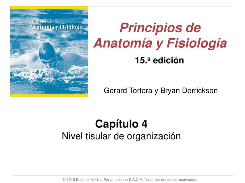 Nivel Tisular de Organización | Laura María | uDocz