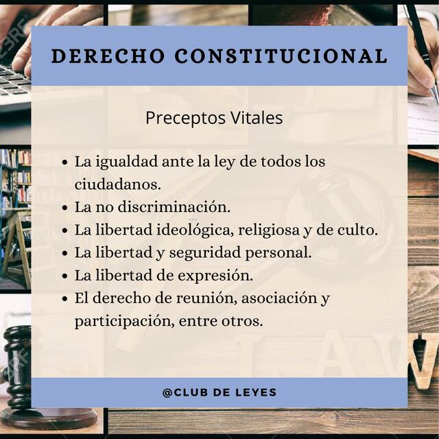 Derecho Constitucional Preceptos Vitales | Club de leyes | uDocz