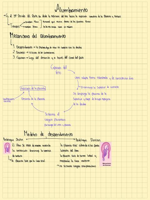 Alumbramiento -obstetricia | Chiqui Rojita | uDocz
