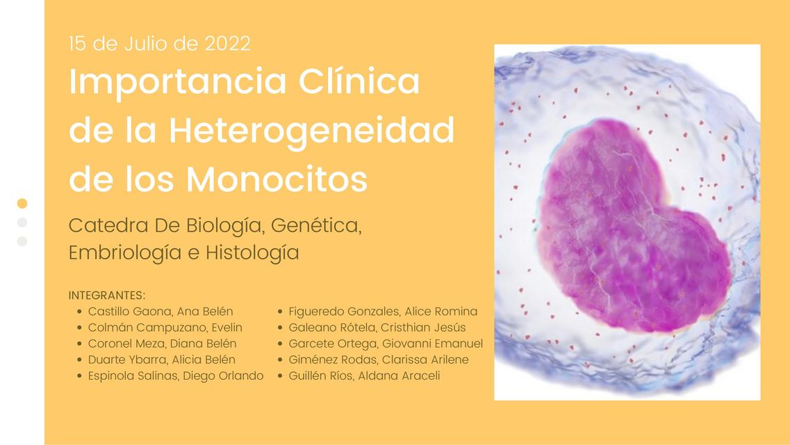Importancia Clínica de la Heterogeneidad de los Monocitos | Aldana ...