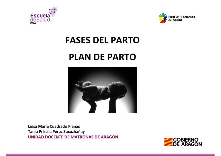 Fases del Parto | Enfermería | uDocz