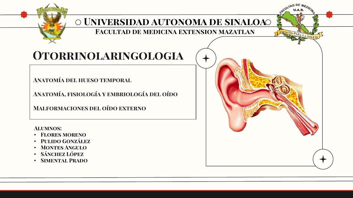 Otorrinolaringología | Maria Fernanda Simental Prado | uDocz
