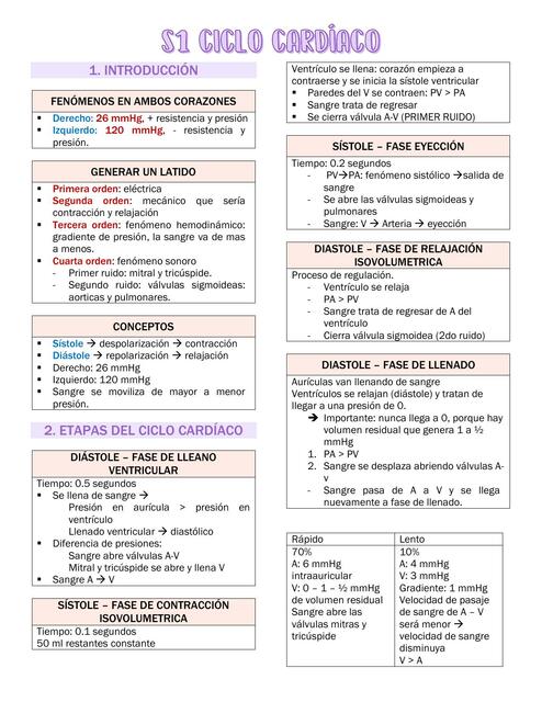 Ciclo Cardiaco | Heidi Solano | uDocz