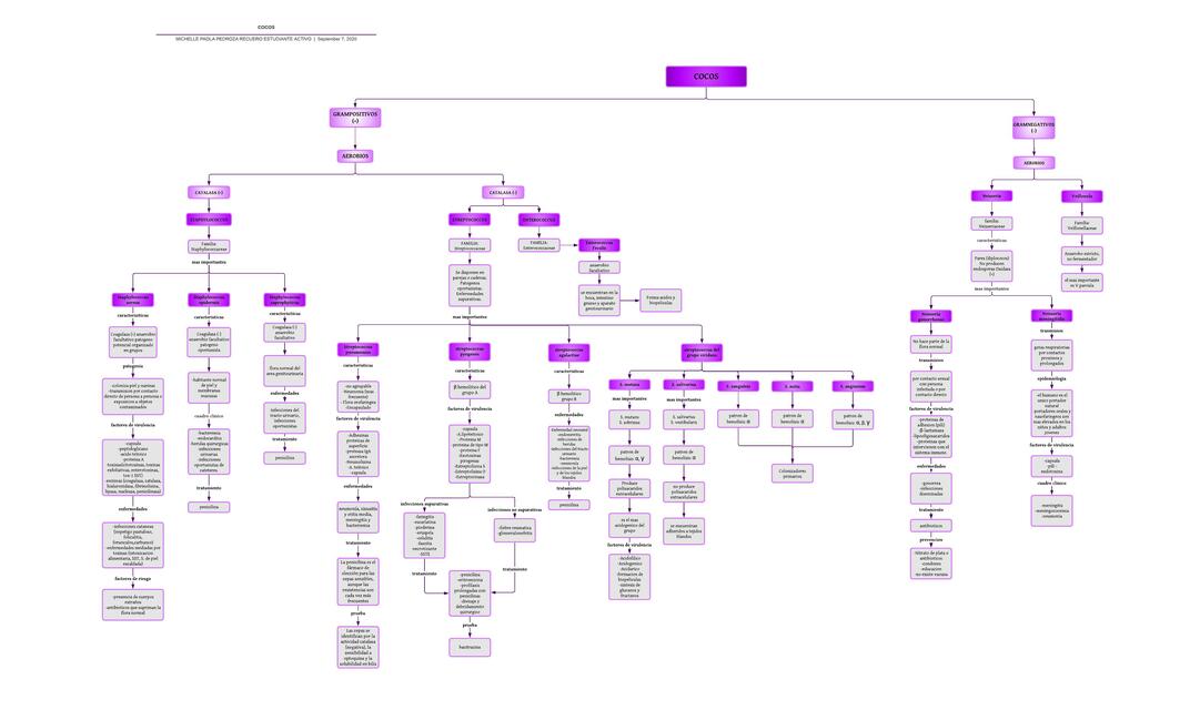 Cocos Gram Positivos y Gram Negativos | Michelle Pedroza | uDocz