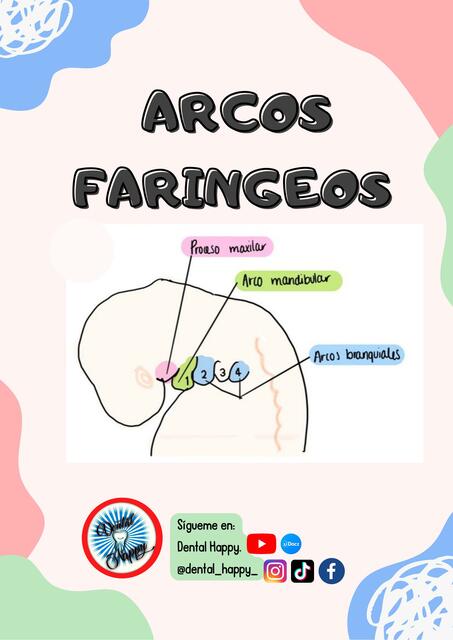 Arcos Faríngeos | Alan Díaz | uDocz