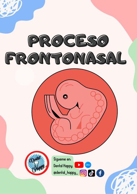 Proceso Frontonasal | Alan Díaz | uDocz
