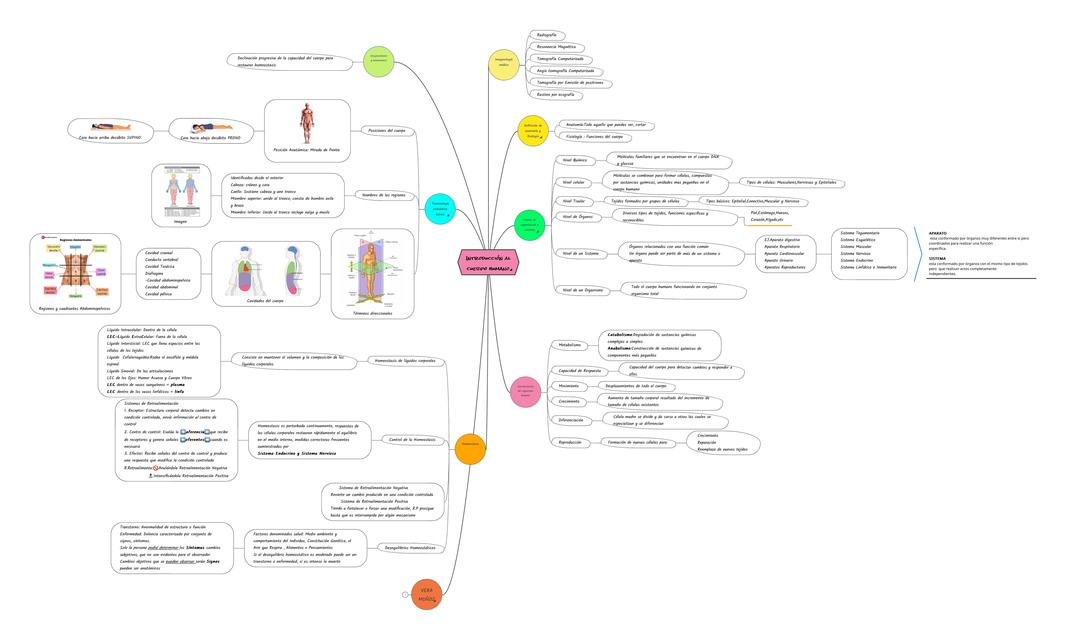 Introducción Al Cuerpo Humano Vera Muñoz Udocz