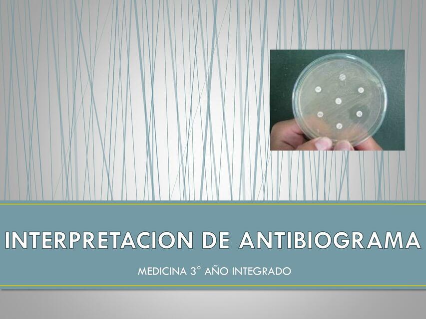 Antibiograma interpretación | Daniela Esnarriaga | uDocz