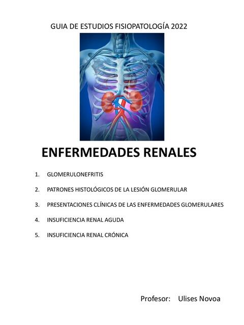 Guía de laboratorio enfermedades renales | Chiqui Rojita | uDocz