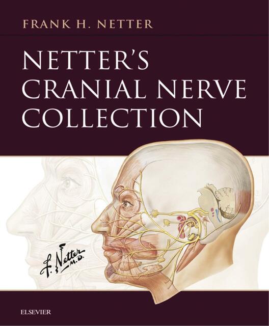 Netter 39 s Cranial Nerve Collection | Enfermería | uDocz