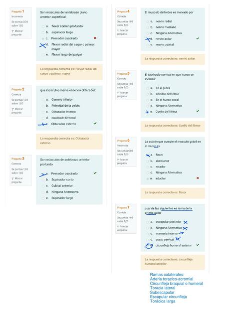Final Anatomía | Heidi Solano | uDocz