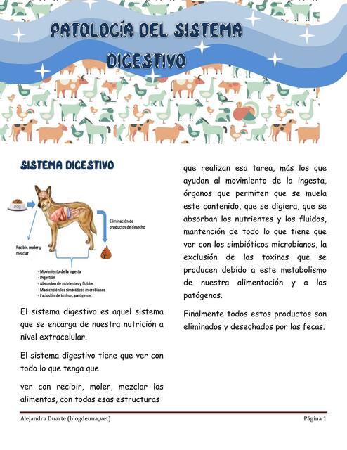 Patología del Sistema Digestivo | Blogdeuna_vet | uDocz