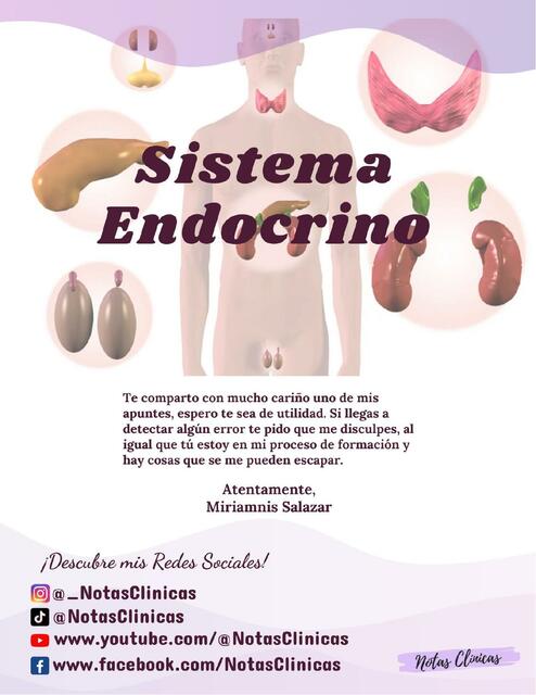 Sistema Endocrino | Notas Clínicas | uDocz