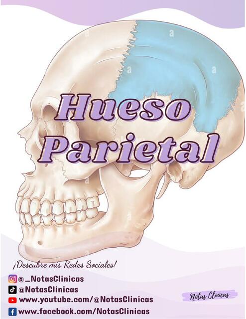 Hueso Parietal | Notas Clínicas | uDocz