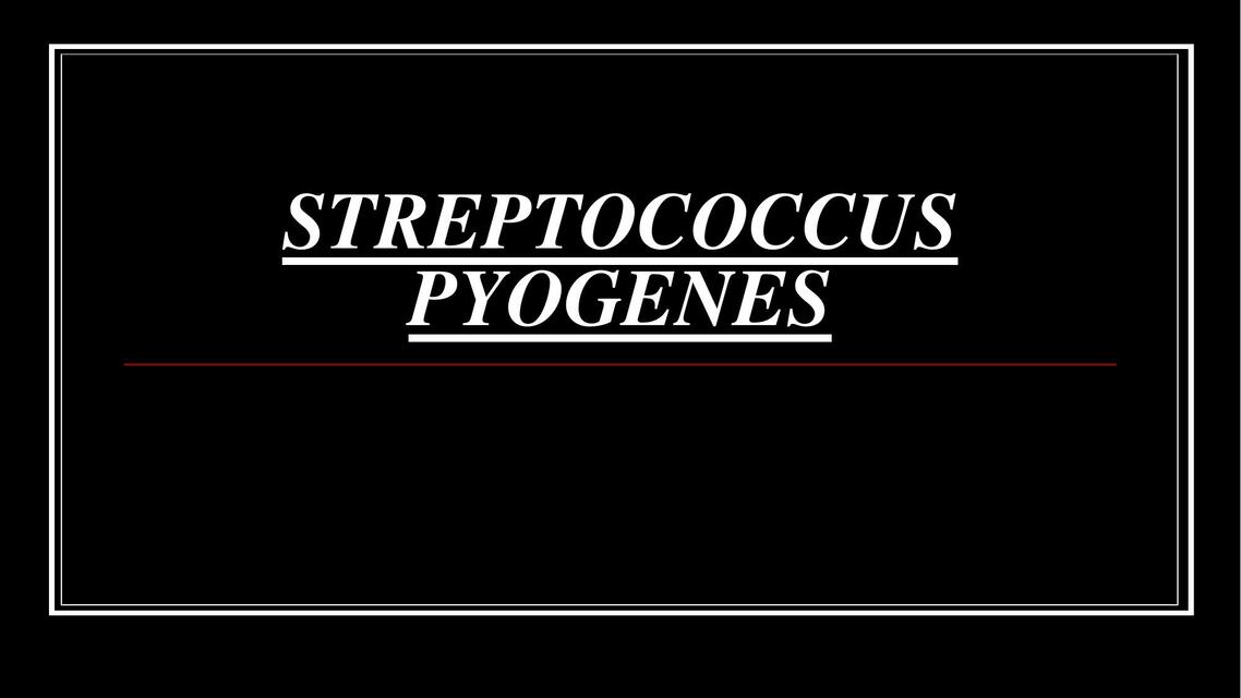 Streptococcus Pyogenes | CIENCIAS DE LA SALUD | uDocz