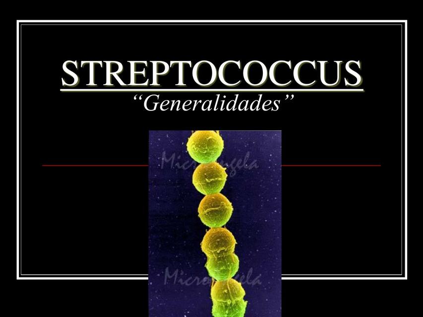 Streptococcus | CIENCIAS DE LA SALUD | uDocz