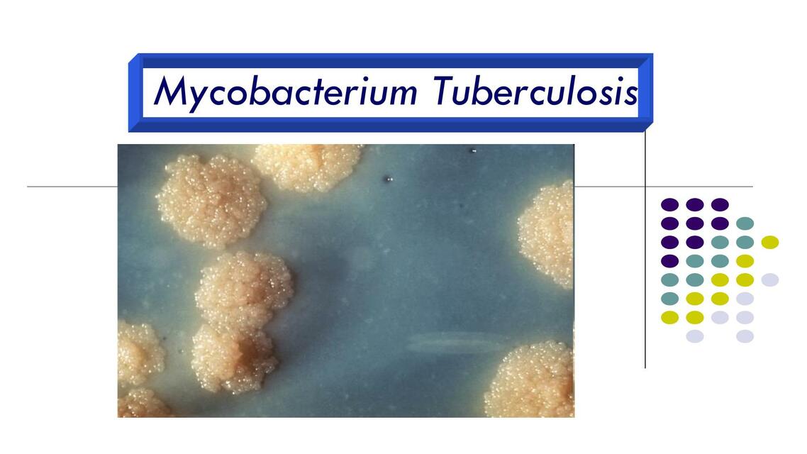 Mycobacterium Tuberculosis | CIENCIAS DE LA SALUD | uDocz