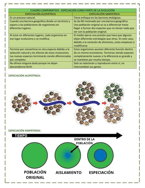 Resúmenes de Especiación simpátrica | Descarga apuntes de Especiación ...