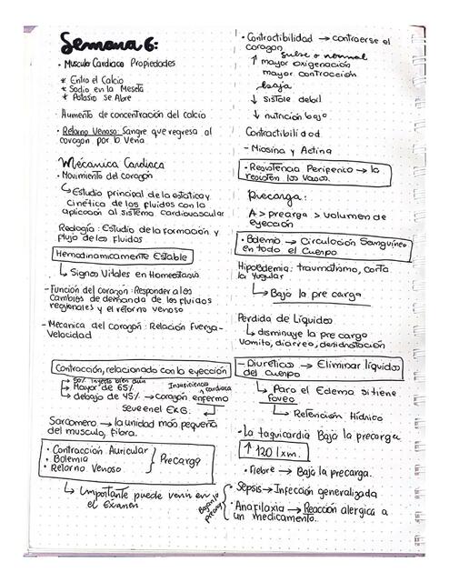 Semana 6 de Fisiologia | Alejandra Sernaque Herrera | uDocz