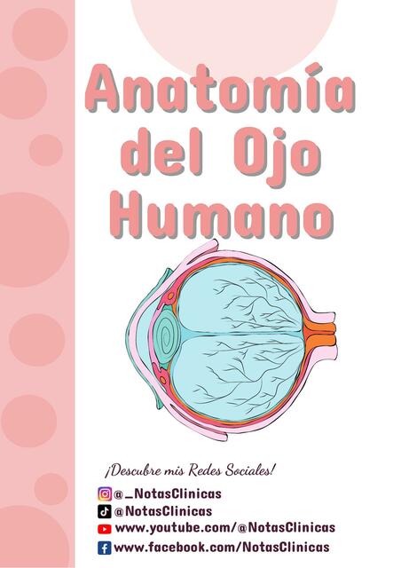 Anatomía del Ojo | Notas Clínicas | uDocz