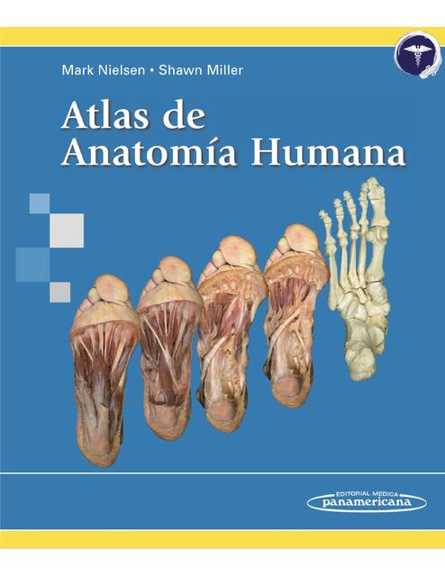 Atlas de Anatomía Humana | Enfermería | uDocz