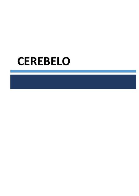 Cerebelo Neuroanatomia Munoglobulinas Udocz