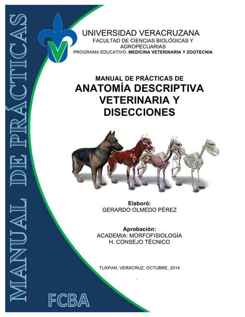 Manual de prácticas de anatomía descriptiva veterinaria y disecciones ...