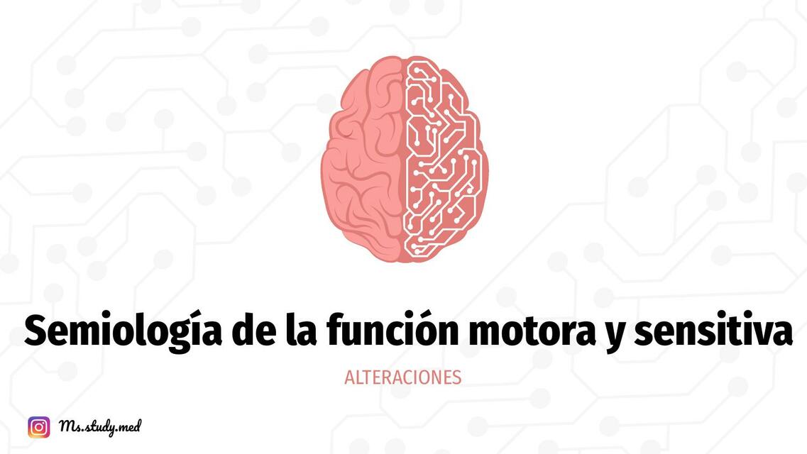 Semiología de la Función Motora y Sensitiva | Ms.study.med | uDocz