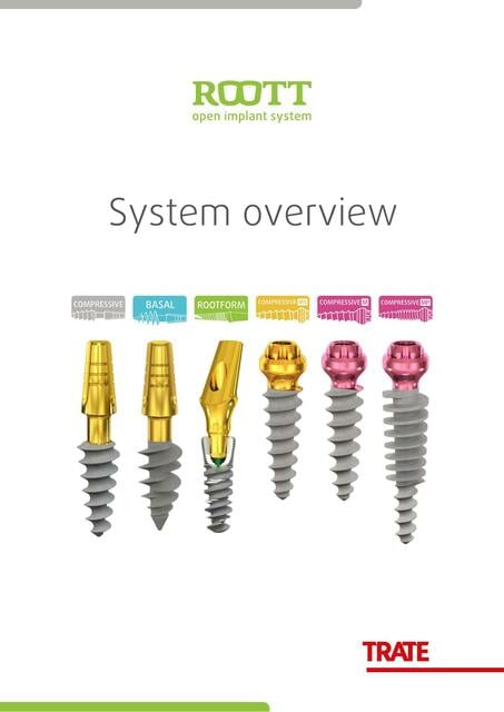 System Overview Robert Condori Udocz