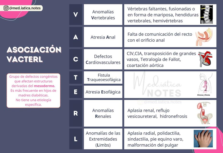Asociación Vacterl | CLAUDIA MERCEDES PAZ MATELLINI | uDocz