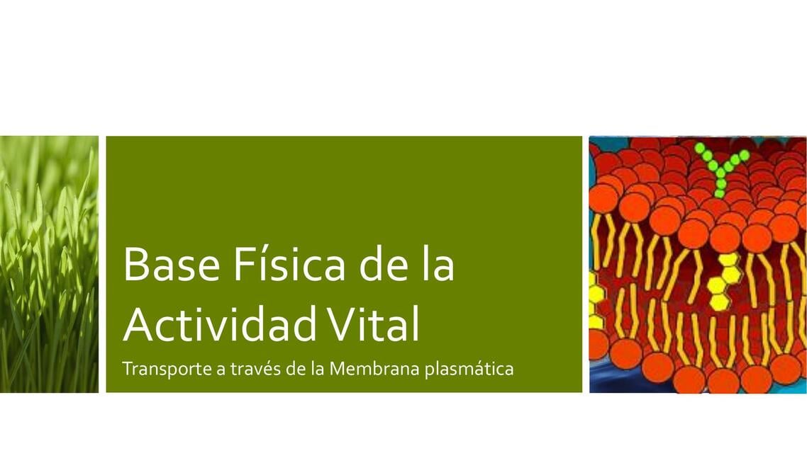 Resúmenes de Base física | Descarga apuntes de Base física